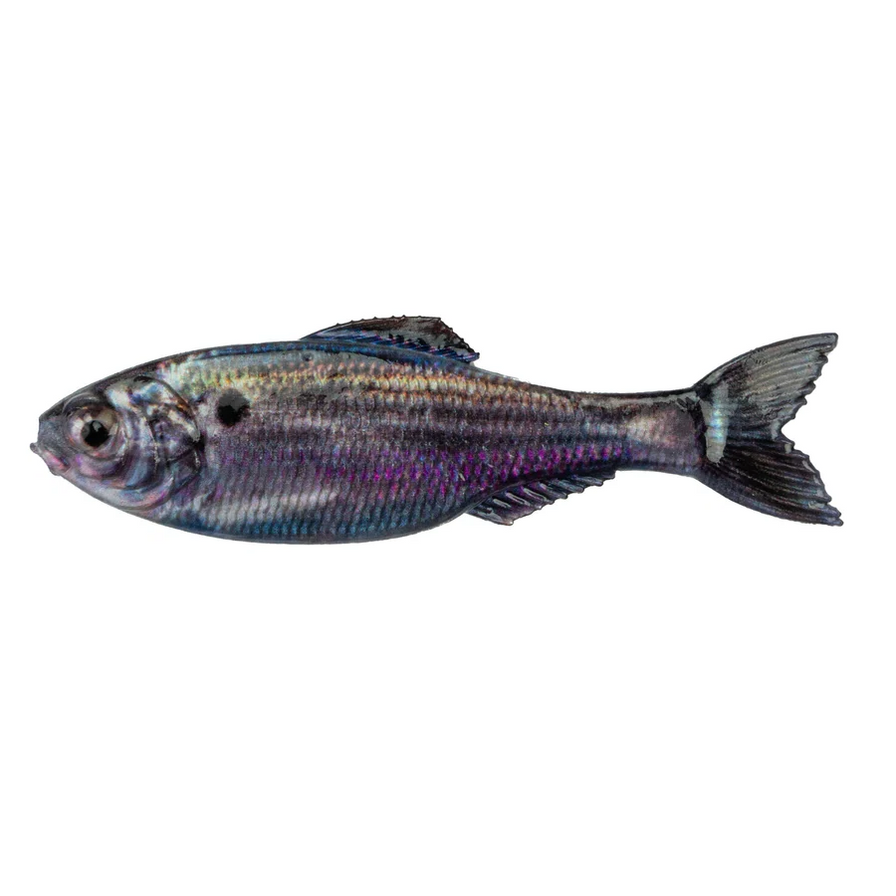 6th Sense Panorama | Soft Swimbaits — Lake Pro Tackle