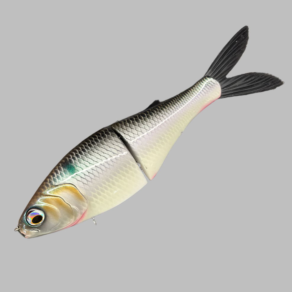 Fish Everything Taxi Shad 9" — Lake Pro Tackle