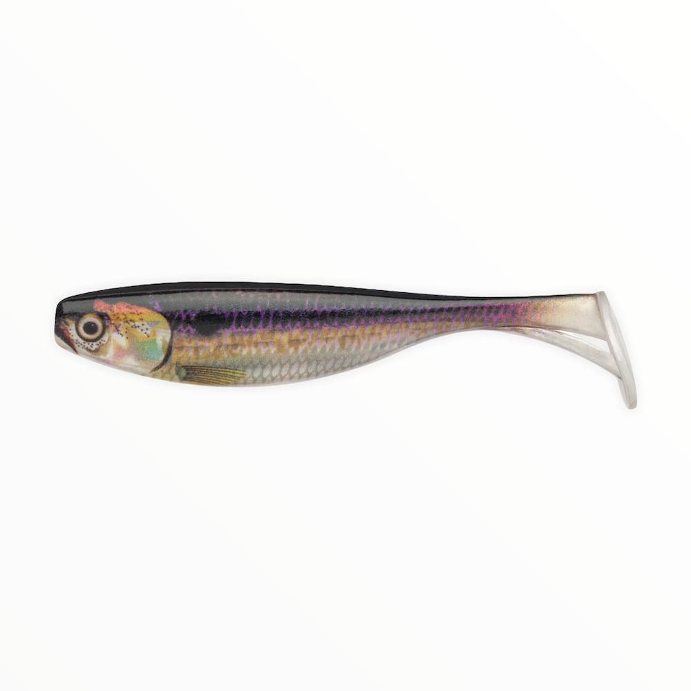 Storm Largo Shad — Lake Pro Tackle